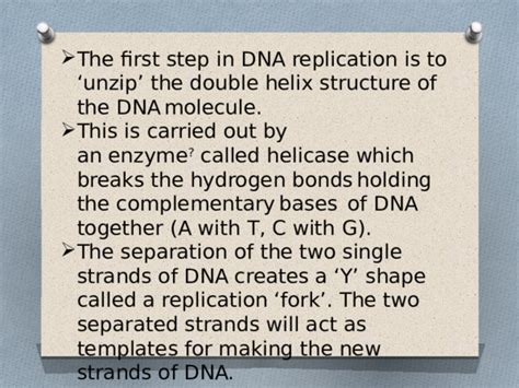 Ppt Dna Replication Pptx
