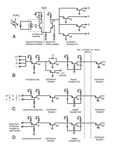 3 2 1 the large signal circuit diagram of the fundamental signal paths