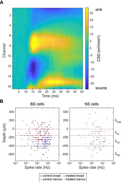 Figure Supplement 2 Cortical Cell Depth Determination With Current