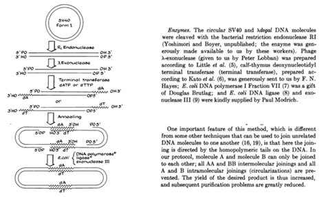 Slides A Brief History Of Modern Biology A Very Brief History Of