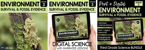 Easy Fossil Experiment For 3rd Grade Around The Kampfire