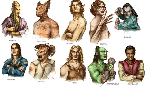 Elder Scrolls Elder Scrolls Online Elder Scrolls Races