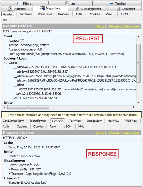 WPF PivotGrid Debugging XMLA Problems Telerik UI For WPF