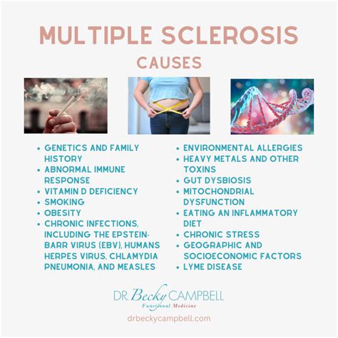 Histamine Intolerance Autoimmunity And Multiple Sclerosis Dr Becky