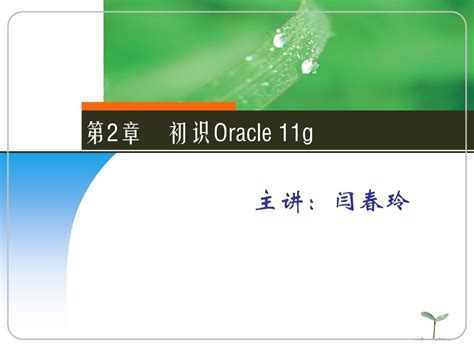 Oracle11g教程第2章初识oracle11gword文档在线阅读与下载无忧文档