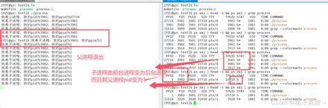 linux操作系统1 进程2 linux中的进程状态，r，s，d，t，t，z，x，僵尸进程，孤儿进程 进程状态t csdn博客