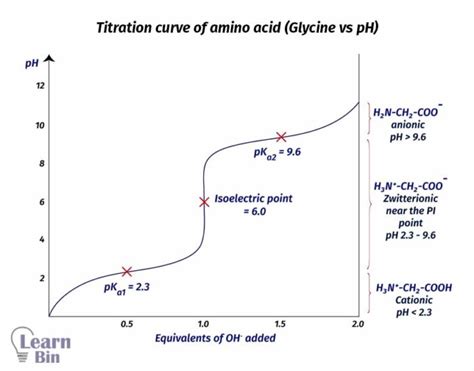 Physiochemical Properties Of Amino Acids Learnbin