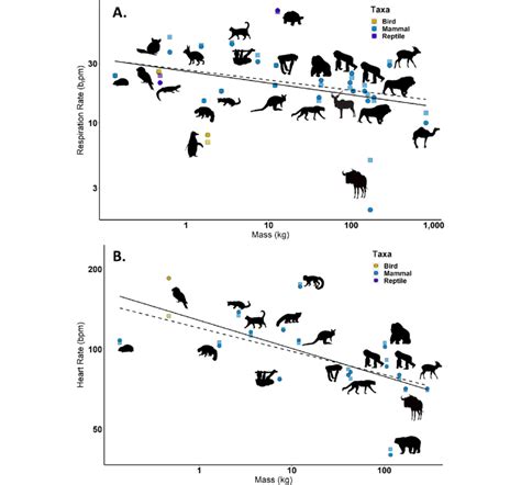the negative log log relationship between mass and a rr and b hr