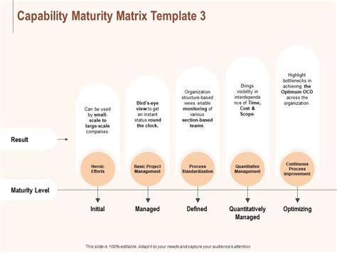 Capability Maturity Matrix Process Ppt Powerpoint Presentation Ideas Outfit Ppt Images Gallery