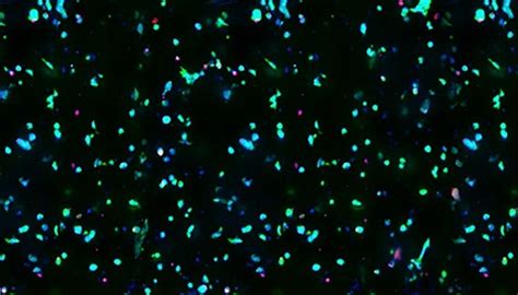 generate application specific high content imaging and analysis