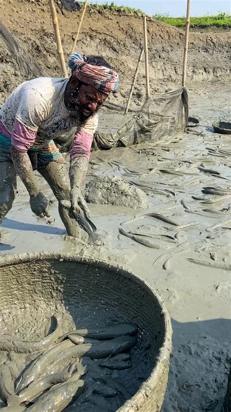 Wow😲really Amazing Big Big Soil Fish Catching By Village People Soil