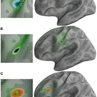 Examples Of Different Types Of Vector Fields Green Arrows And Their Download Scientific
