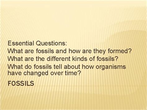 Essential Questions What Are Fossils And How Are