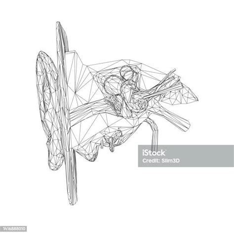 흰색 배경에 고립 된 검은 선에서 청력 기관의 내부 구조가있는 인간의 귀의 와이어 프레임 정면보기 3d 벡터 일러스트레이션 3차원 형태에 대한 스톡 벡터 아트 및 기타