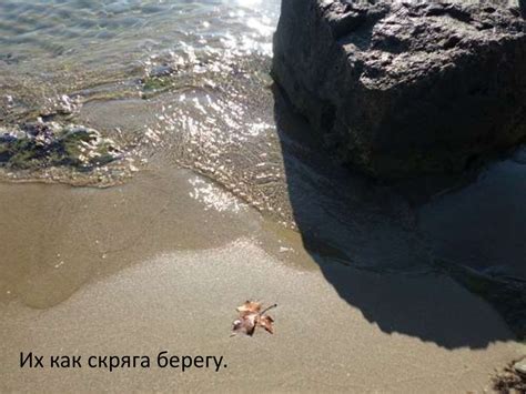 Уникальные уголки природы Крыма Online Presentation