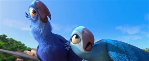 Image Blu And Jewel Ca Rio Wiki