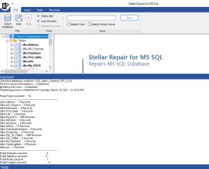 How To Recover Deleted Table Records In SQL Server