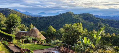 Bwindi Eco Lodge Turkana Wildlife Safaris