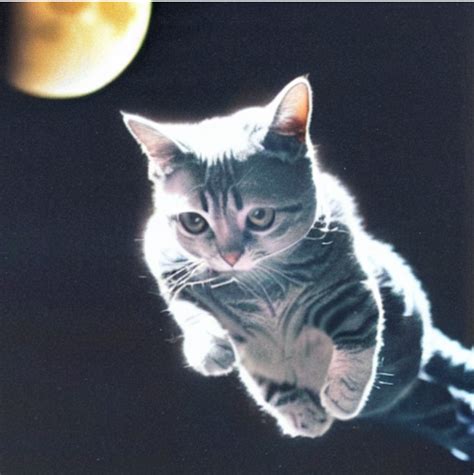 Hands On Generative Adversarial Networks Gan For Signal Processing With Python Towards Data