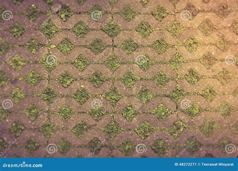 Cement Block Pattern With Grass Floor Stock Image Image Of Background
