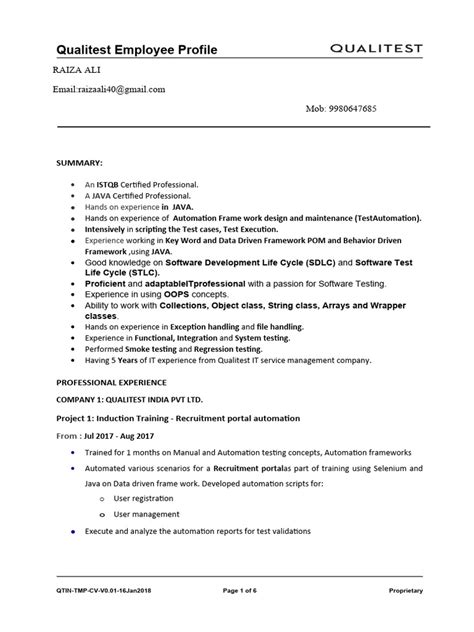 Raiza Resume 2024 Pdf Java Programming Language Software Testing