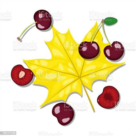 손으로 그린 플랫 레이 흰색 배경에 고립 된 성분의 음식 놀링 스타일 벡터 일러스트 가을 비건 성분 노란 단풍잎 벚꽃 0명에 대한 스톡 벡터 아트 및 기타 이미지 Istock