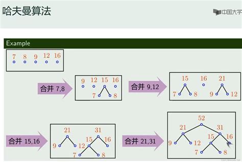 离散数学 根树，根数的遍历，最优树和哈夫曼算法根树离散数学 Csdn博客