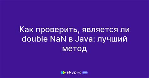 Как проверить является ли Double Nan в Java лучший метод