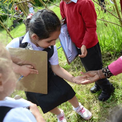 How To Develop The Role Of The Adult In EYFS One Education