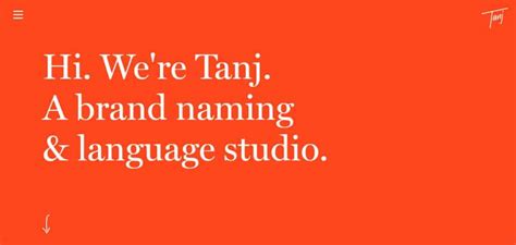 Tanj Reviewed Rated And Compared Updated 2025 Hatchwise