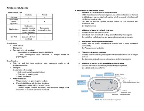 Solution Drug Discovery Structure Activity Relationship Of