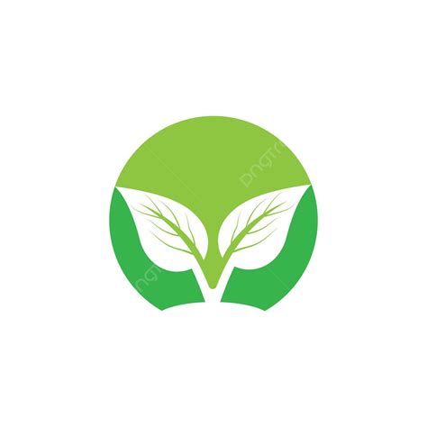 Eco Tree Leaf Environmental Vector Eco Vector Environmental Vector Eco Png And Vector With