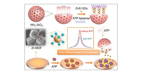 A Controlled Release Aptasensor Utilizing Aie Active Mofs As High Efficiency Ecl Nanoprobe For