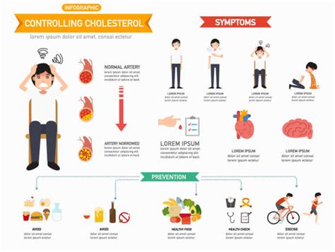1500 Cholesterol Infographic Stock Illustrations Royalty Free Vector
