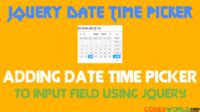 Add Date Time Picker To Input Field Using JQuery CodexWorld