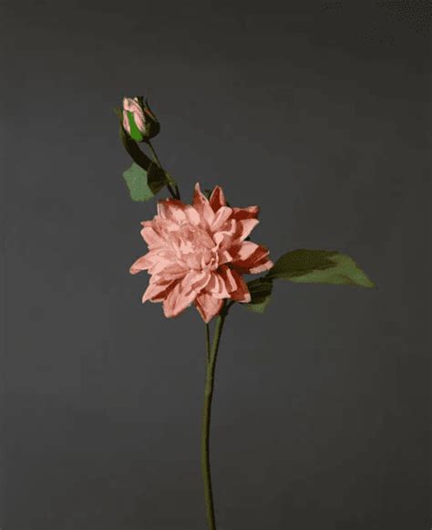 Customize Modern Sharepoint List Forms Using Json Espc Conference 2025