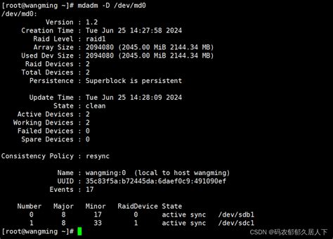 Linux：raid磁盘阵列linux查看raid信息命令 Csdn博客