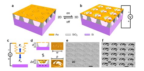 北理工物理学院