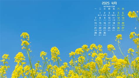 2025年 彼岸壁纸搜索