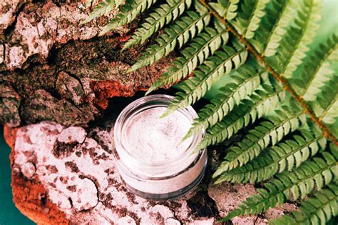 고사리 잎나무 껍질에 화장품 스크럽이나 크림을 곁들인 항아리 최고 전망 0명에 대한 스톡 사진 및 기타 이미지 0명 각질제거 건강관리와 의술 Istock
