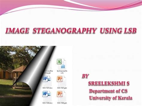 Image Steganography Using Lsb Pptx Photo Editing Software Computer Software And Applications