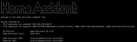 Unable To Connect To Home Assistant Via Local Home Assistant Os Home Assistant Community