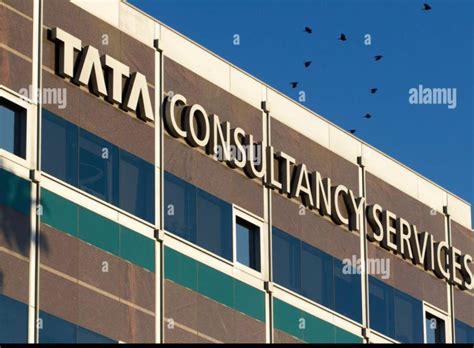 Ojasvi Verma 🌱 On Linkedin Data Tcs Tcshiring Tcsbps Tcscareers Workfromhomejobs Itjobs