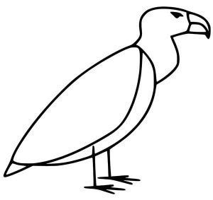 45 Desenhos De Urubu Para Imprimir E Colorir Atividades