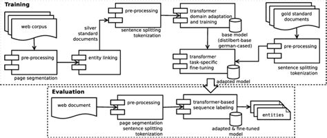 Transformer Model Used For Entity Recognition And Entity Classification