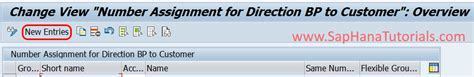 Customer Account Groups For Bp Grouping In Sap Hana Sap Hana Tutorials