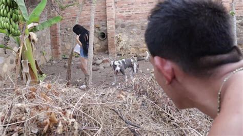 Best Sex Beautiful Brunette Fucking With Neighbor In Broad Daylight Cnn Amador