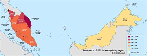 Malaysia Fgm C Research Initiative Orchid Project