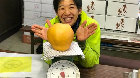 Atago Pear General Fruit Growing Growing Fruit