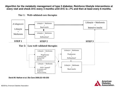 Algorithm For The Metabolic Management Of Type 2 Diabetes Reinforce